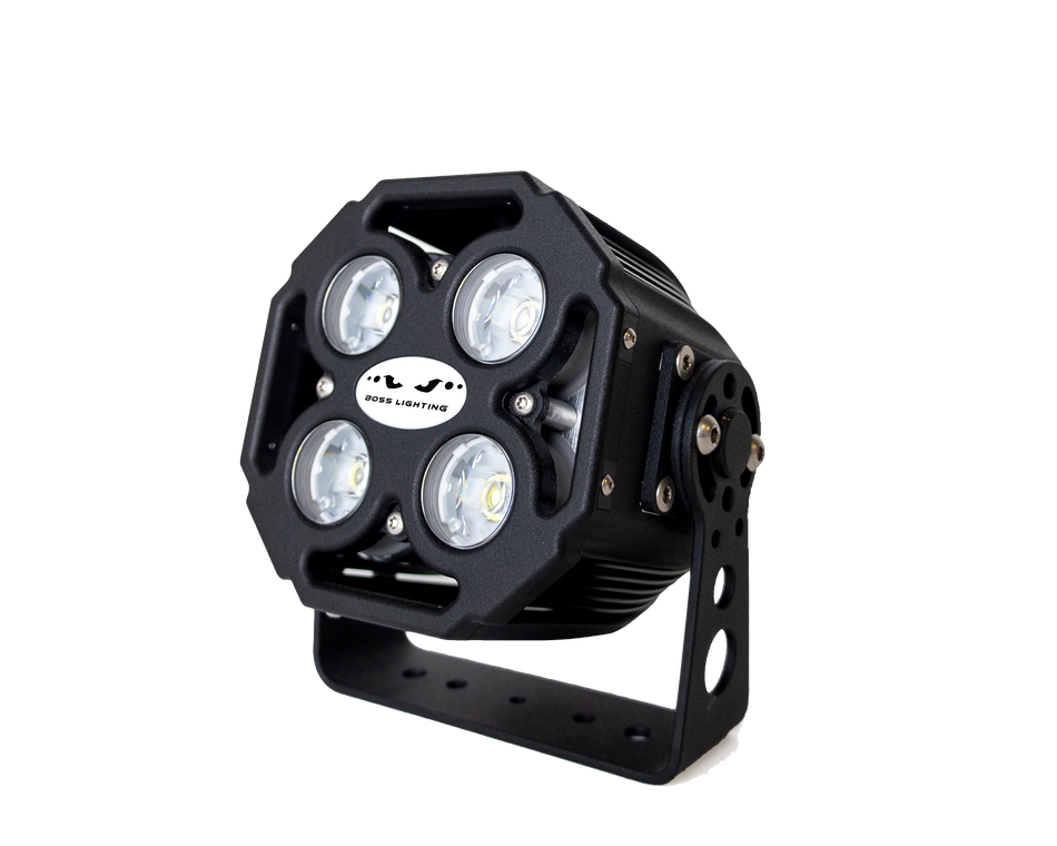 Boss Custom Lighting